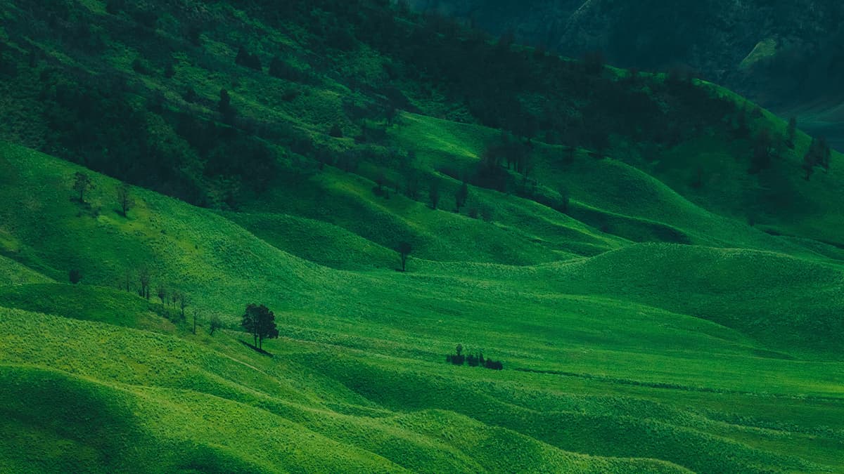 Download free virtual backgrounds | Univid